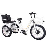 China 750W Front Wheels Electric Rickshaw Trike with 21AH Lithium Battery and 7 Speed Gears for sale