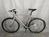China 160kg Load Capacity Grey Color Classic Single Speed Fixie Fixed Gear Bike 1.6m Length for sale
