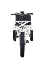 China 750W Front Wheels Electric Rickshaw Trike with 21AH Lithium Battery and 7 Speed Gears for sale