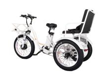 China 750W Front Wheels Electric Rickshaw Trike with 21AH Lithium Battery and 7 Speed Gears for sale