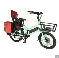 China Road Occasion 20 Inch 350W 5PAS 7 Speed Ananda Bafang MID Drive Electirc Bike with Lithium Battery for sale