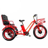 China Front Hub Motor 750W 21AH Lithium Electric Tricycle for 2 People 24