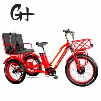 China Front Hub Motor 750W 21AH Lithium Electric Tricycle for 2 People 24
