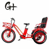 China Front Hub Motor 750W 21AH Lithium Electric Tricycle for 2 People 24