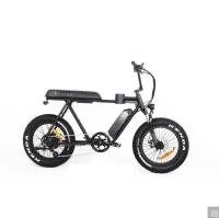China Magnesium Alloy Frame 2020 20 Inch Fat Tire Electric Bike Snow Beach Cruiser EL-DN2011Z for sale