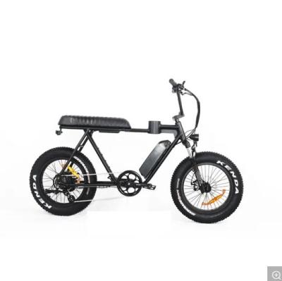 China Magnesium Alloy Frame 2020 20 Inch Fat Tire Electric Bike Snow Beach Cruiser EL-DN2011Z for sale