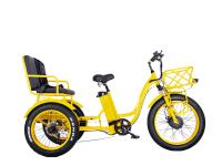 China Electric Rickshaw 750W Front BaFang Motor 21AH Lithium Battery 60KM USA Adult 24