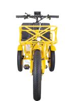 China Electric Rickshaw 750W Front BaFang Motor 21AH Lithium Battery 60KM USA Adult 24