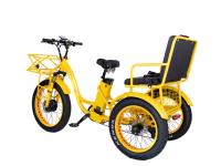 China Electric Rickshaw 750W Front BaFang Motor 21AH Lithium Battery 60KM USA Adult 24