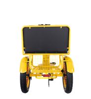 China Electric Rickshaw 750W Front BaFang Motor 21AH Lithium Battery 60KM USA Adult 24