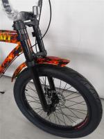 China 15KG Fat Tire City Bike Inner 3 Speed 3.0