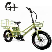 China 48V Disc Brake Dual Batteries Fat Snow Big Tire Electric Cargo Bicycles for Family 2 for sale