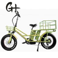 China 48V Disc Brake Dual Batteries Fat Snow Big Tire Electric Cargo Bicycles for Family 2 for sale