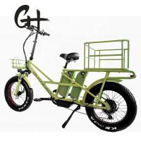 China 48V Disc Brake Dual Batteries Fat Snow Big Tire Electric Cargo Bicycles for Family 2 for sale