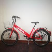 China 36V 9Ah 250W Torque 80-90 Nm 25KM/H Hi-Ten Steel Electric Cargo Bike for Food Deliver for sale