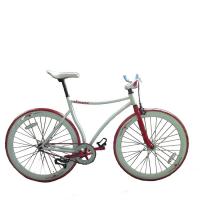 China Customized CE Hi-Ten Steel Frame 700C Single Speed Fixed Gear Bike for Boys for sale