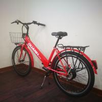 China 36V 9Ah 250W Torque 80-90 Nm 25KM/H Hi-Ten Steel Electric Cargo Bike for Food Deliver for sale