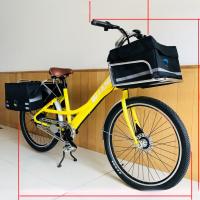 China 36V 9Ah 250W Torque 80-90 Nm 25KM/H Hi-Ten Steel Electric Cargo Bike for Food Deliver for sale