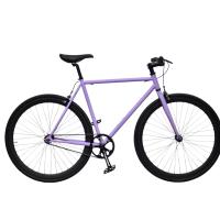 China 1.6m Length OEM Colorful 700C Adult Road Racing Light Weight Single Speed Fixie Fixed Gear Bike for sale
