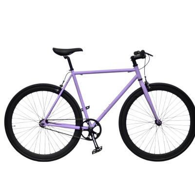 China 1.6m Length OEM Colorful 700C Adult Road Racing Light Weight Single Speed Fixie Fixed Gear Bike for sale