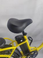 China Kenda 20*4.0 Tire and Wellgo Pedal 48V 750W Folding Electric Bike for Beach Cruiser for sale