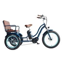 China Front Hub Motor Electric Rickshaw with 48V 750W 17AH Lithium Battery and Big Fat Tire for sale