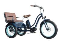 China Front Hub Motor Electric Rickshaw with 48V 750W 17AH Lithium Battery and Big Fat Tire for sale
