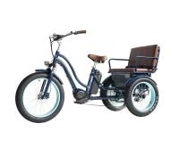 China Front Hub Motor Electric Rickshaw with 48V 750W 17AH Lithium Battery and Big Fat Tire for sale