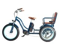 China Front Hub Motor Electric Rickshaw with 48V 750W 17AH Lithium Battery and Big Fat Tire for sale