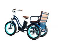 China Front Hub Motor Electric Rickshaw with 48V 750W 17AH Lithium Battery and Big Fat Tire for sale