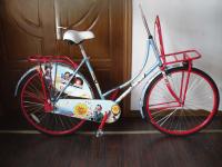 China 28inch Old Man City Bike Classic Dutch Bike with Lugged Steel Frame and Double V Brake for sale
