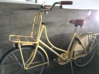 China 28inch Old Man City Bike Classic Dutch Bike with Lugged Steel Frame and Double V Brake for sale