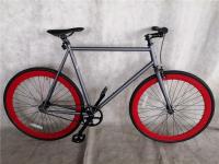 China DIY Adult Cycle V Brake Fixie Bike with Lightweight Design and 700Cx28C Wheel Size for sale