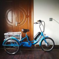 China 2020 Market 750W 20