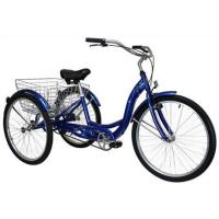 China 750W Electric Cargo Tricycle with Lithium Battery and Range of 31-60 km for sale