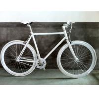 China 700C CE Track Single Speed Fixed Gear Bike with 700*25C Kenda Tire produced by USA OEM for sale