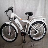 China 1000W Bafang Mid Drive Motor Alloy Rear Carrier Central Electric Bike with Standards for sale