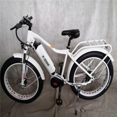 China 1000W Bafang Mid Drive Motor Alloy Rear Carrier Central Electric Bike with Standards for sale