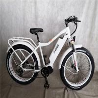 China 1000W Bafang Mid Drive Motor Alloy Rear Carrier Central Electric Bike with Standards for sale
