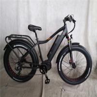 China 1000W Bafang Mid Drive Motor Alloy Rear Carrier Central Electric Bike with Standards for sale