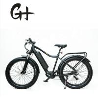 China 1000W Bafang Mid Drive Motor Alloy Rear Carrier Central Electric Bike with Standards for sale