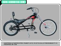 China Customizable 24