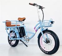China Shimano Gear Alloy Stem Dual Batteries Folding Step Through Ebike for Carrying Kids for sale