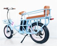 China Shimano Gear Alloy Stem Dual Batteries Folding Step Through Ebike for Carrying Kids for sale