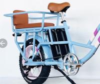 China Shimano Gear Alloy Stem Dual Batteries Folding Step Through Ebike for Carrying Kids for sale