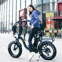 China 1000W Motor 48V 14AH Step Through Electric Lady Women Folding Fat Snow Tire Bike 20 Inch for sale