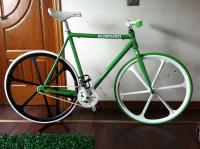 China Custom Color Fixed Gear Bike with Aluminum Alloy Frame and Magnesium Alloy Teny Wheel for sale