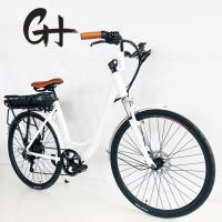 China 500W/48V/14Ah Rear Rack Lithium Battery Electric City Bike for Women Lady 35KM/H for sale