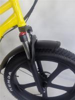 China 26 inch Bafang Motor 750W 48V 5 Spokes Step Through Big Tires Fat Tyre Electric Bikes for sale
