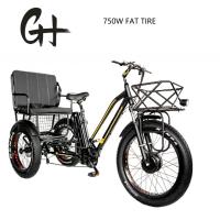China Bafang 750W Motor Electric Tricycle with Fat Tire E Three Wheels and Passenger Seat for sale